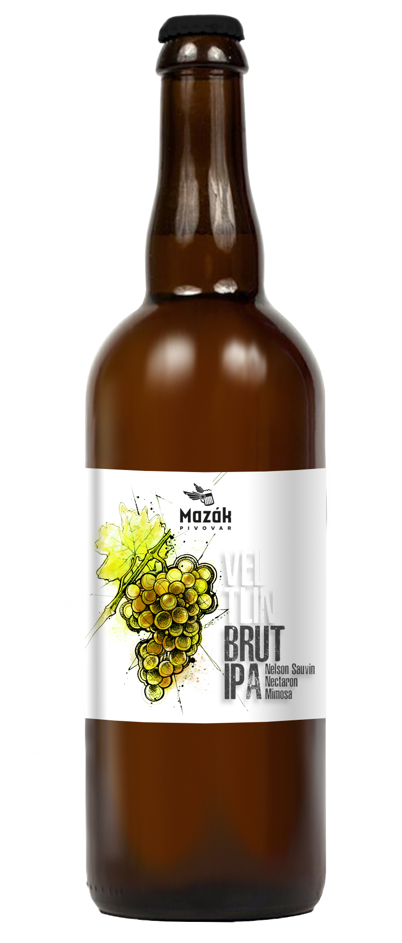 Brut IPA z Pivovaru Mazák – svěží piva s výrazným aroma